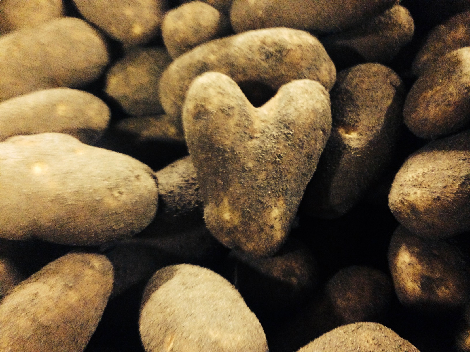 News Flash: POTATOES ARE OK AGAIN! – Cut to the Chase